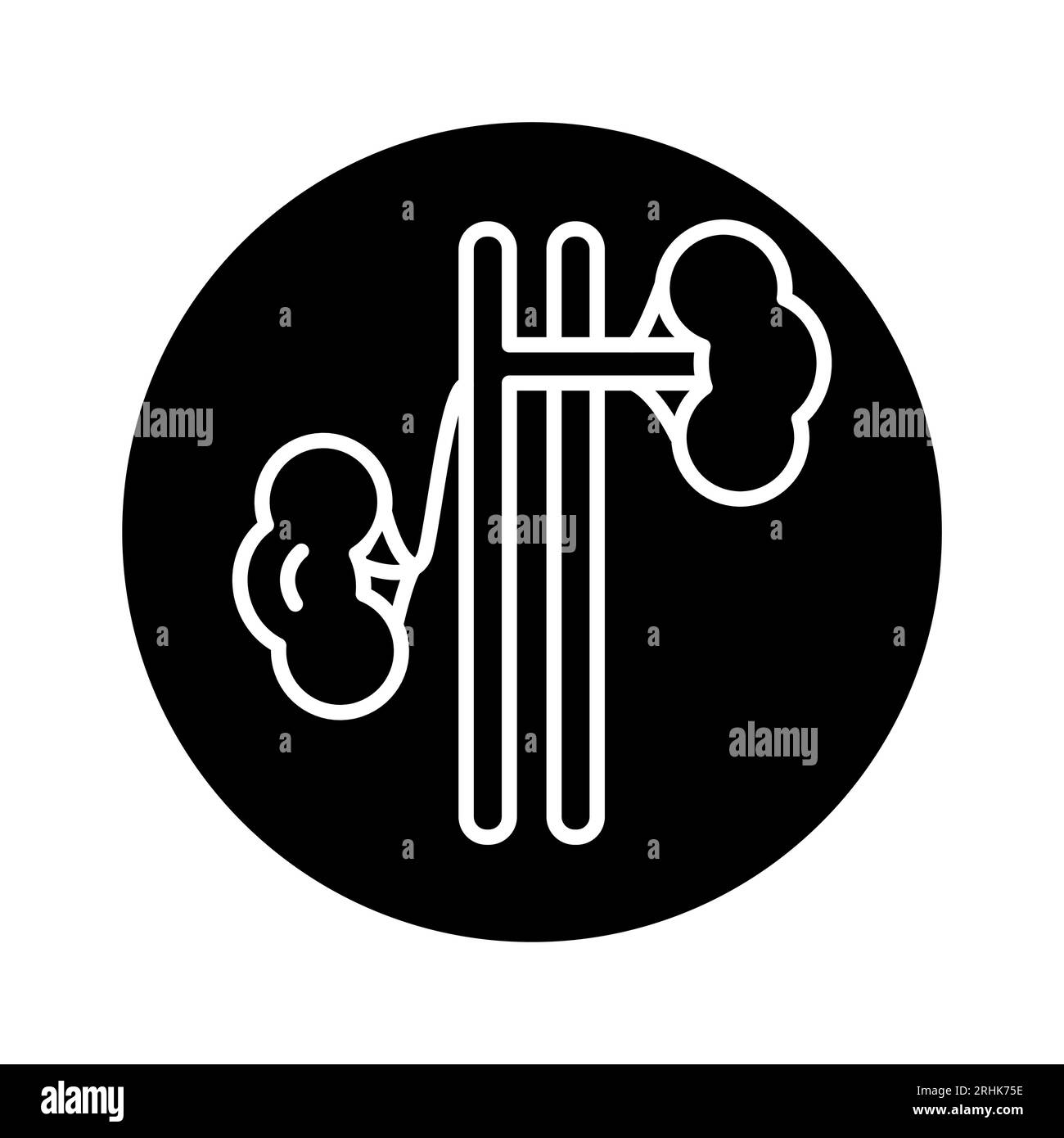 Human organ kidneys color line icon. Isolated vector element. Outline ...