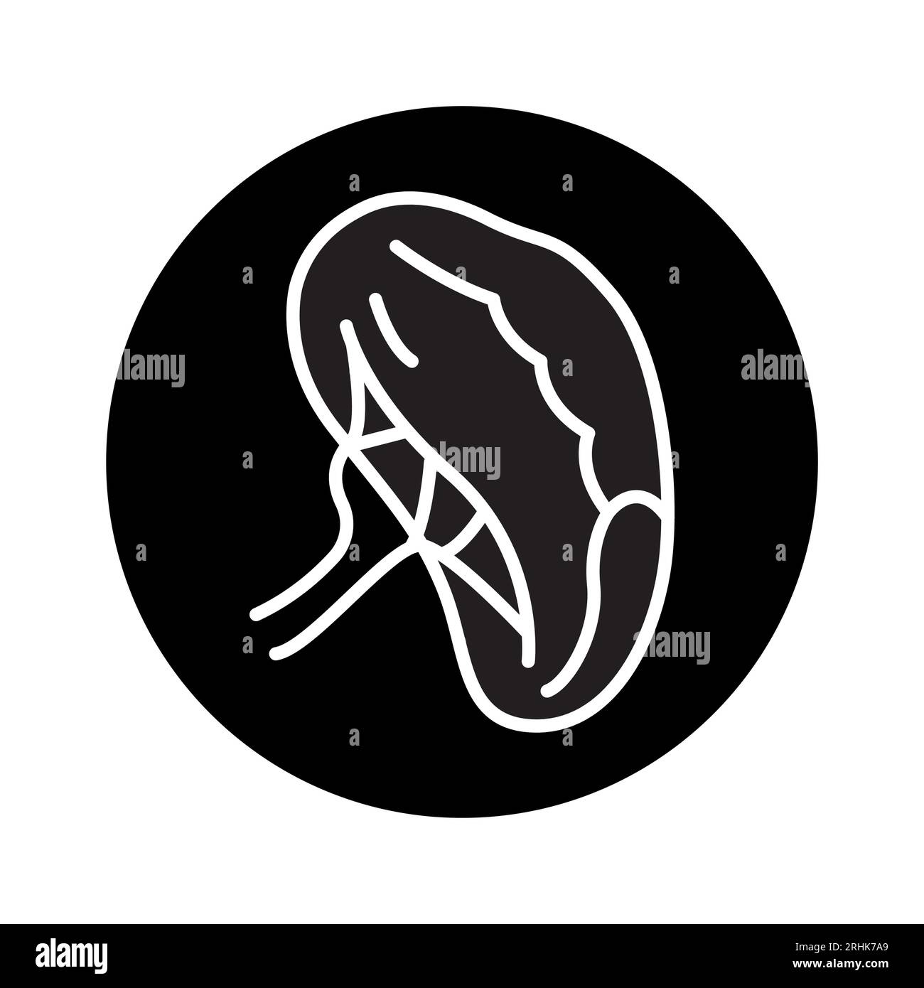 Spleen anatomy Stock Vector Images - Alamy