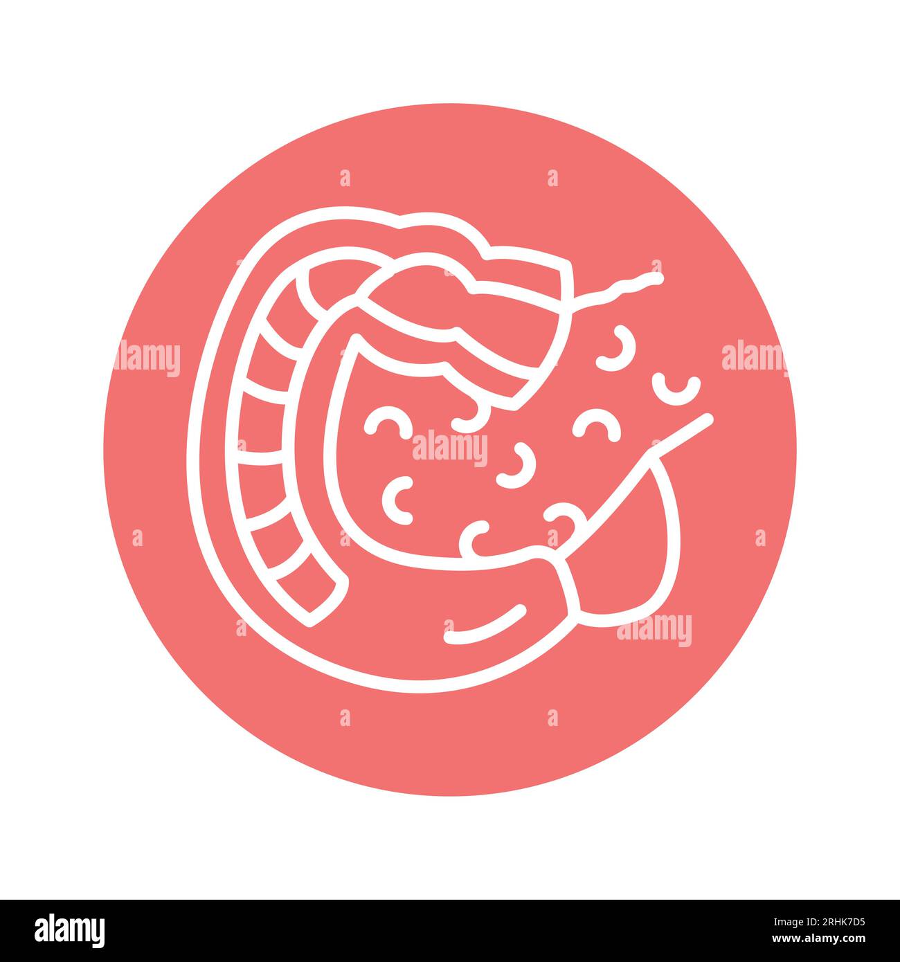 Human organ duodenum color line icon. Isolated vector element. Outline ...