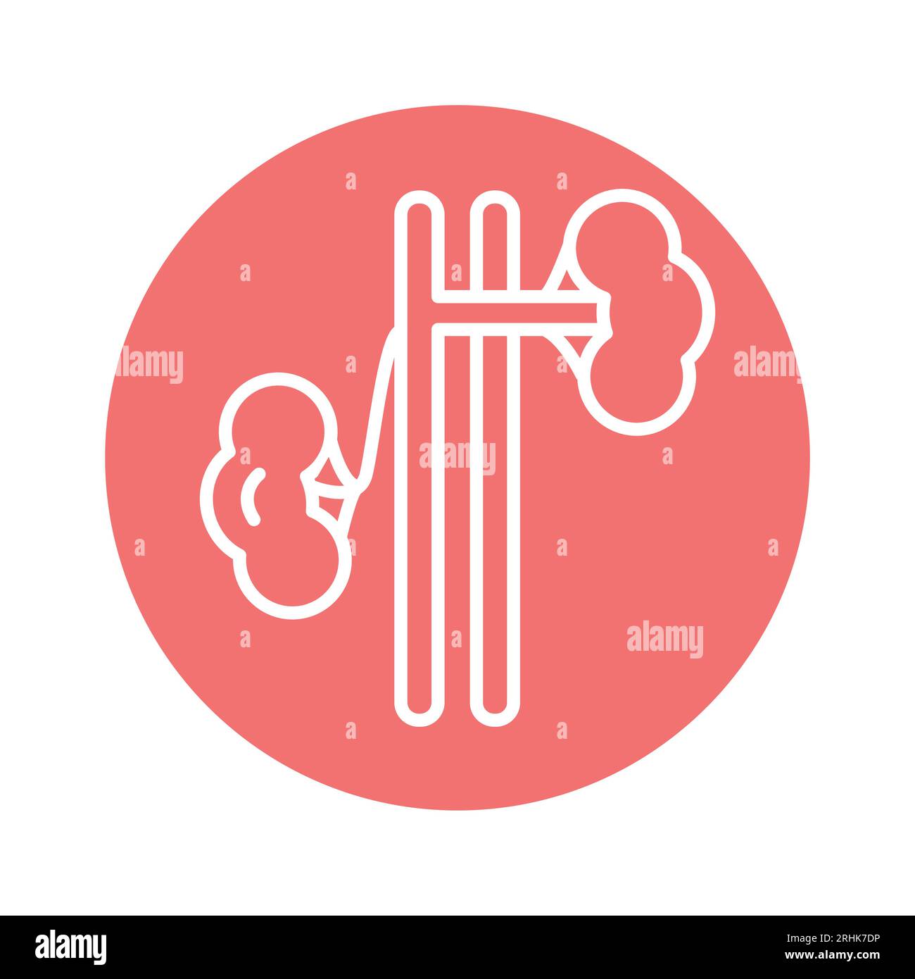Human organ kidneys color line icon. Isolated vector element. Outline ...