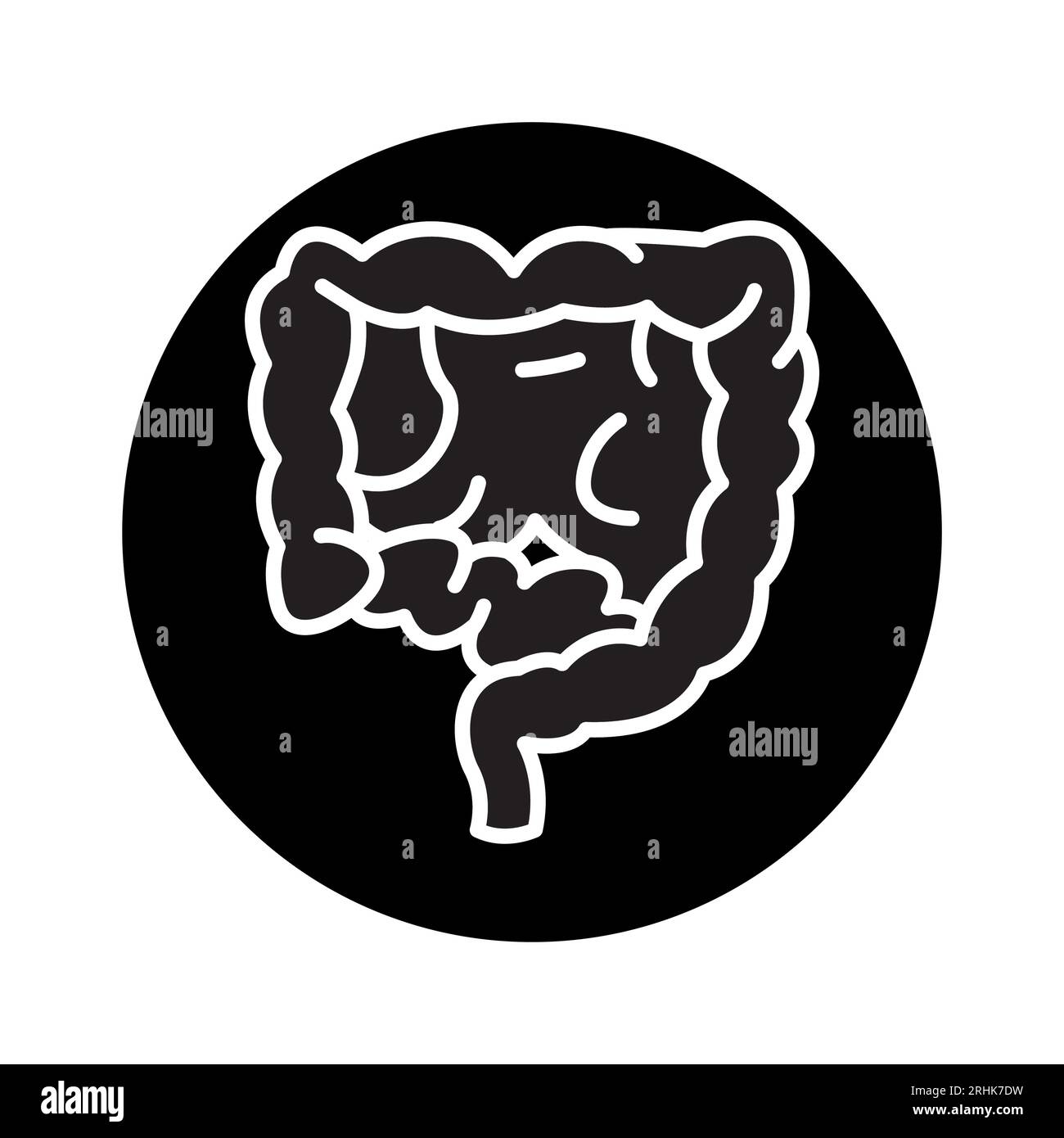 Human Organ Intestines Color Line Icon Isolated Vector Element Outline Pictogram For Web Page