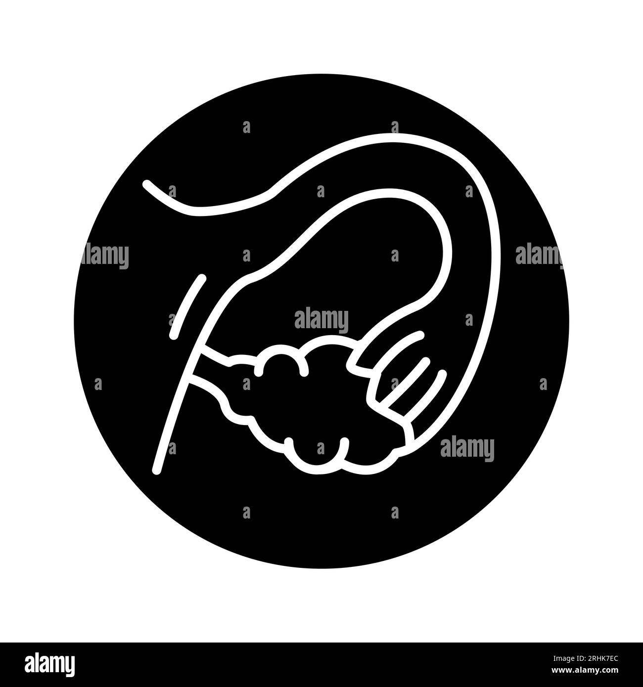Ovary color line icon. Isolated vector element. Outline pictogram for ...