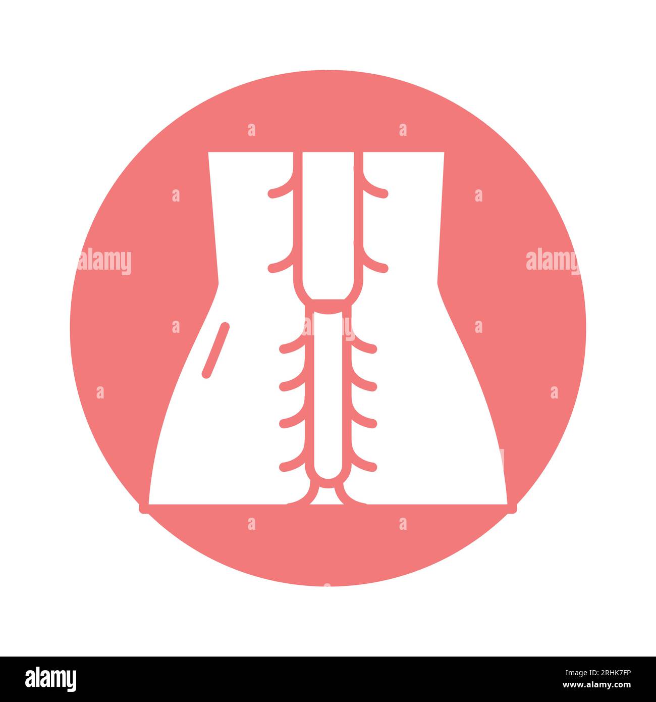 Cauda equina hi-res stock photography and images - Alamy