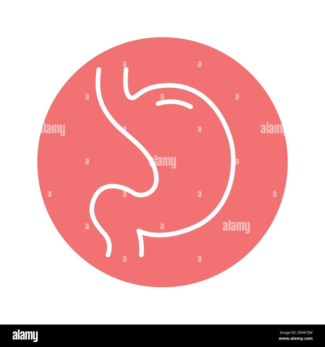 Human Organ Stomach Color Line Icon Isolated Vector Element Outline Pictogram For Web Page