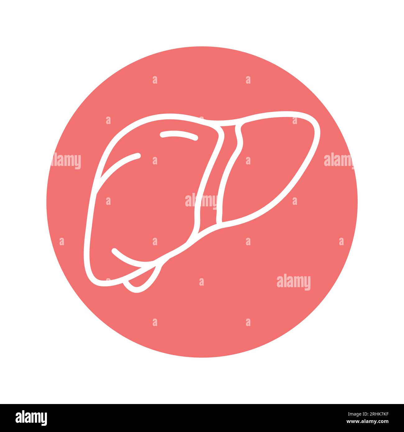 Human organ liver color line icon. Isolated vector element. Outline ...