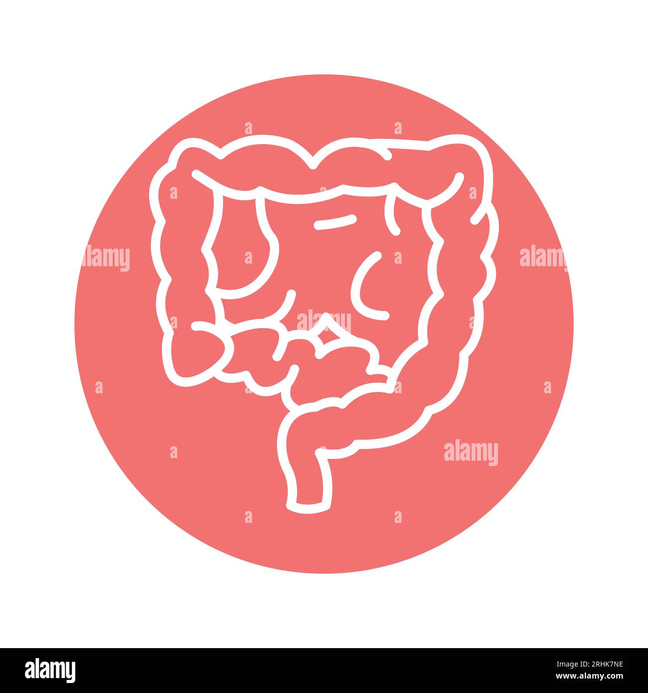 Human organ intestines color line icon. Isolated vector element ...