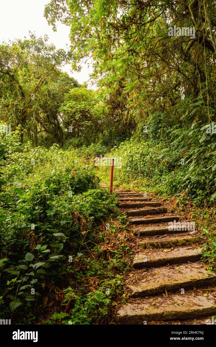 Scenic view of an empty hiking trail at Lake Ngosi Crater Lake Trail in ...