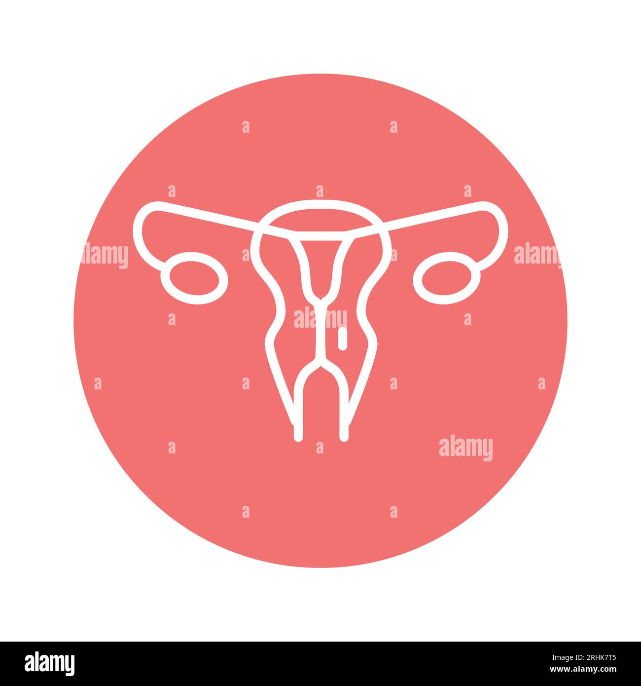 Human organ uterus color line icon. Isolated vector element. Outline ...