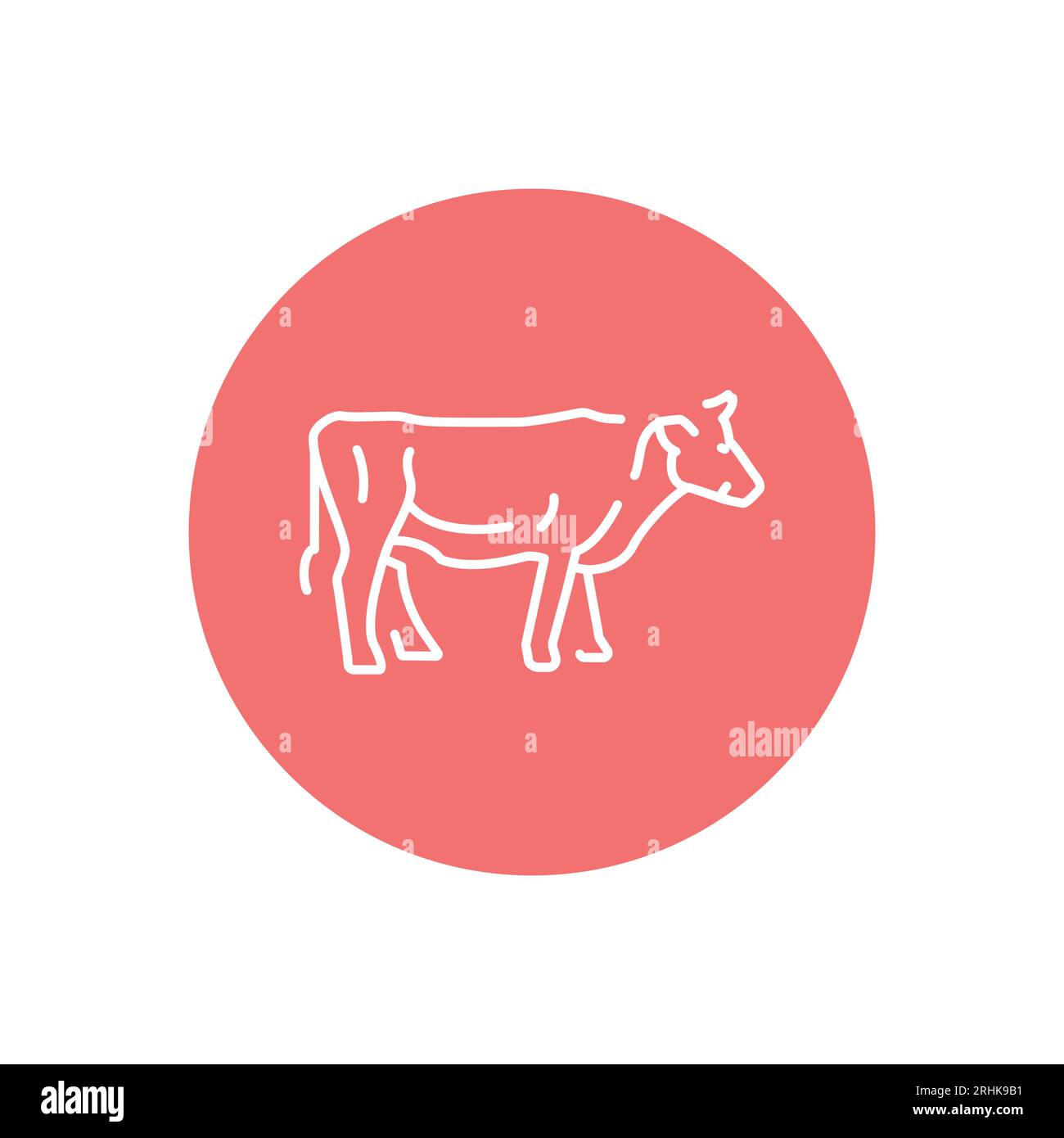 Linear cow hi-res stock photography and images - Alamy