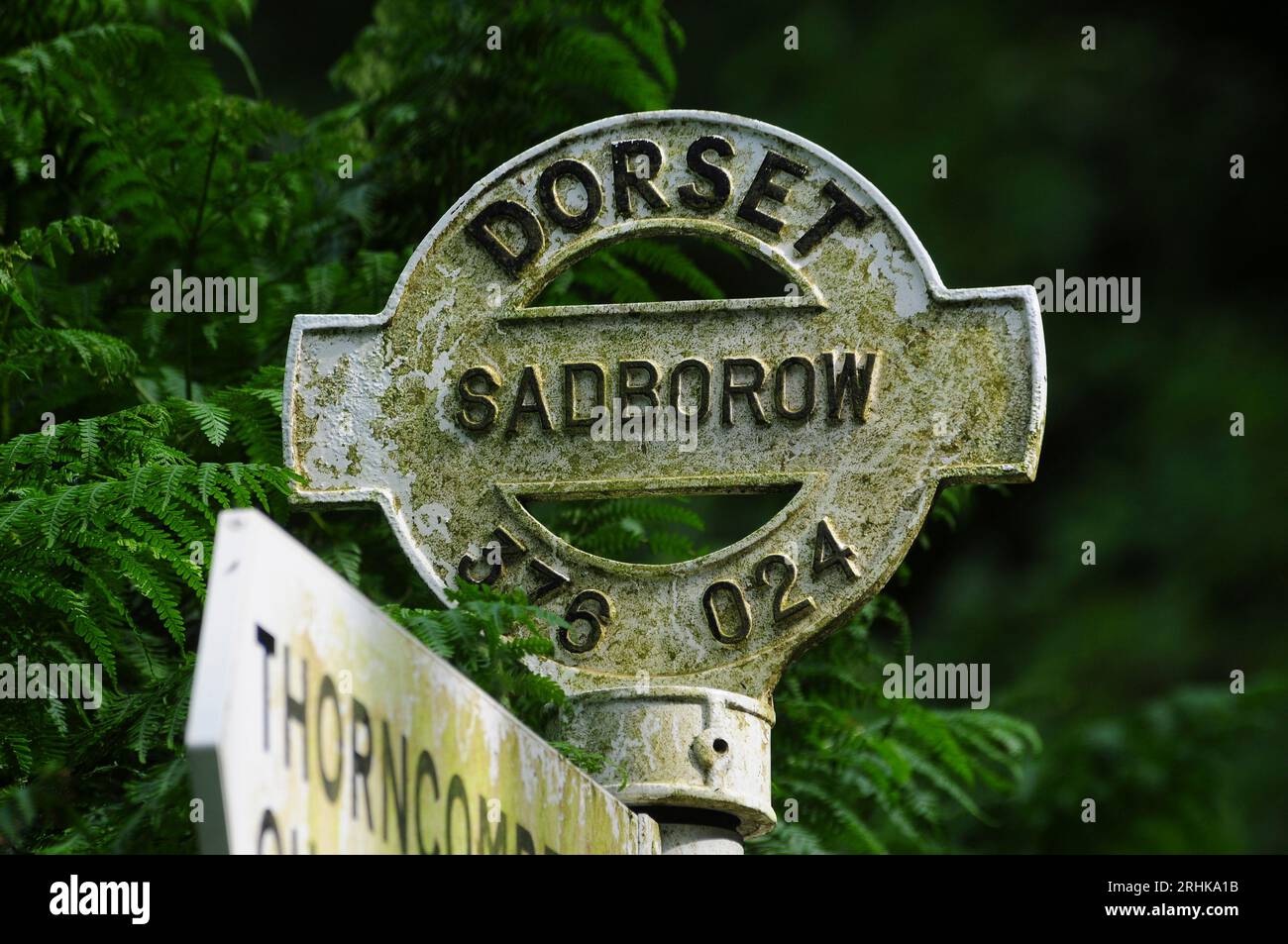 finial on fingerpost or waymark sign at Sadborow, Dorset Stock Photo ...