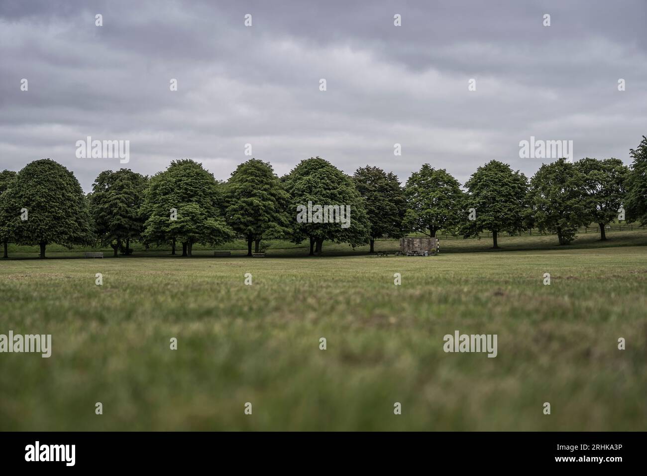 park landscape with miniature effect Stock Photo - Alamy