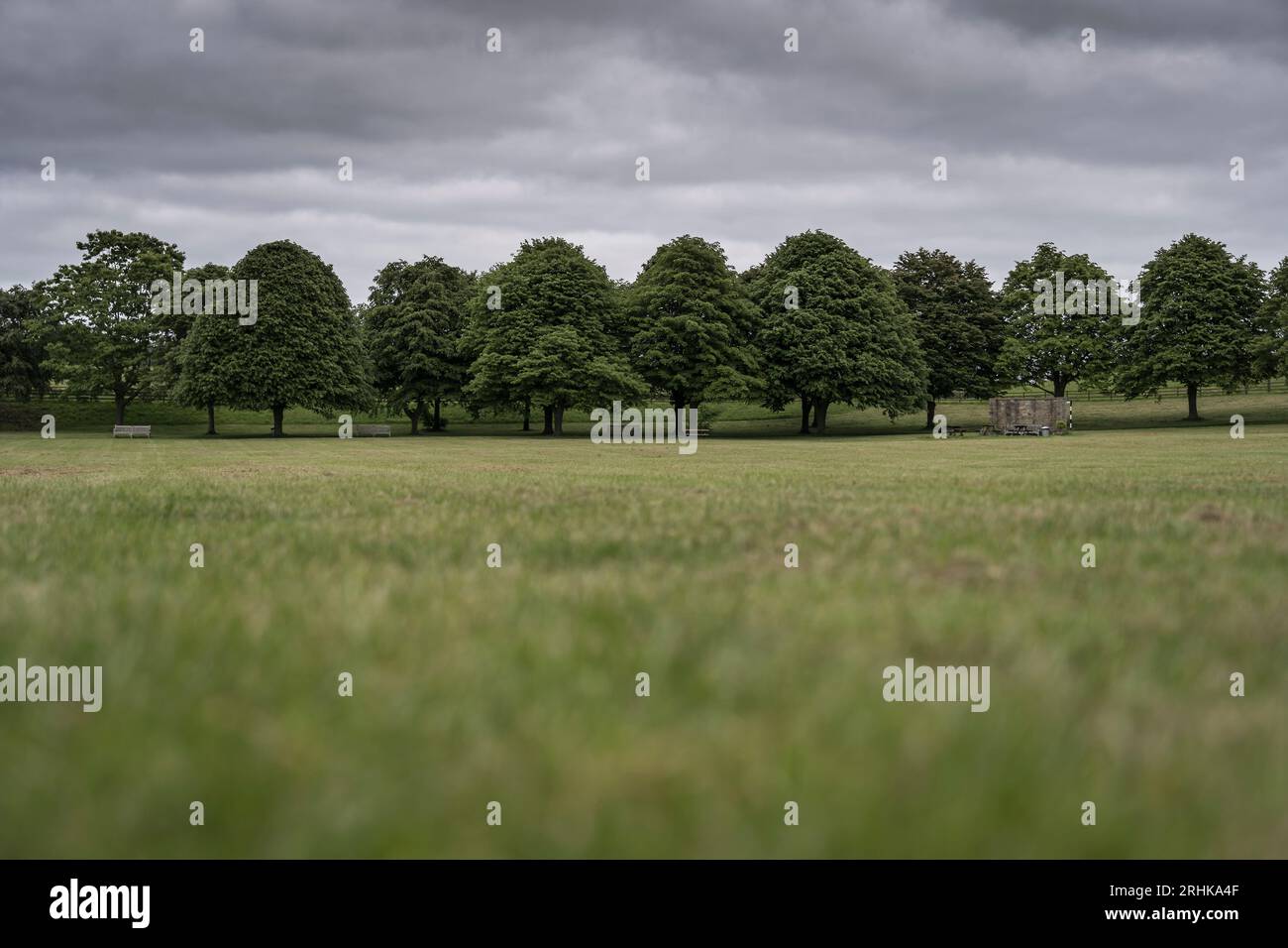 park landscape with miniature effect Stock Photo - Alamy