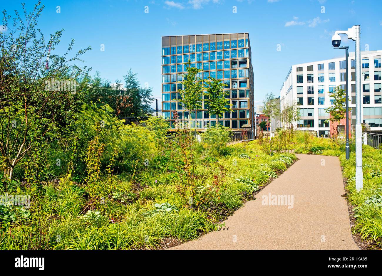 Monk Bridge Viaduct looking towards Wellington Place, nature path ...