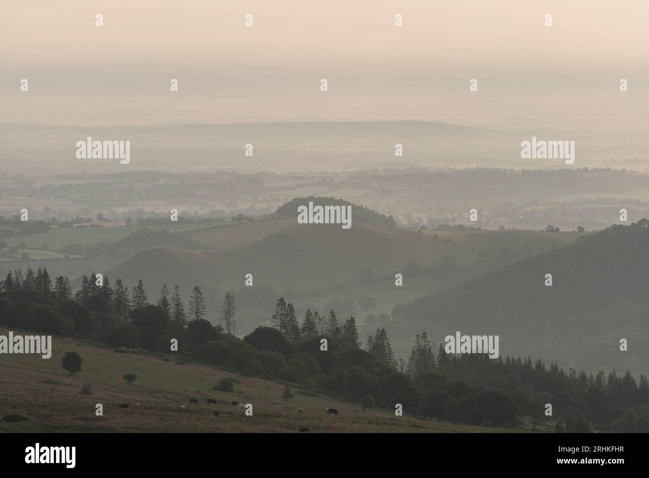 Quartzite outcrops and hazy views from Stiperstones National Nature ...