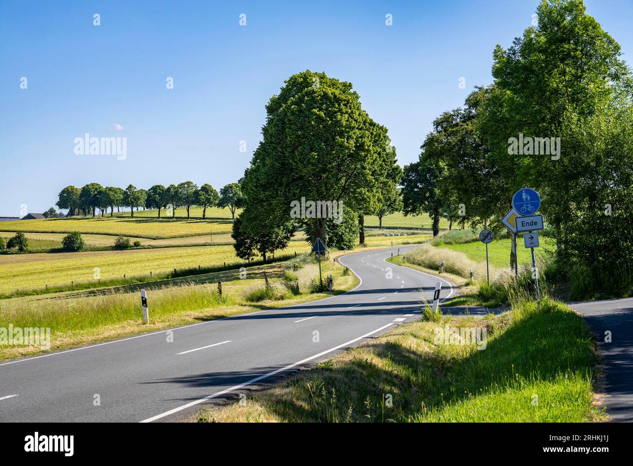 Country road between Warstein and Hirschberg in Sauerland, partly lined ...
