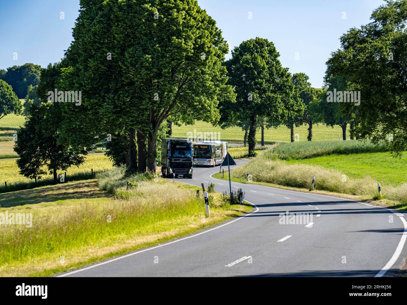 Country road between Warstein and Hirschberg in Sauerland, partly lined ...