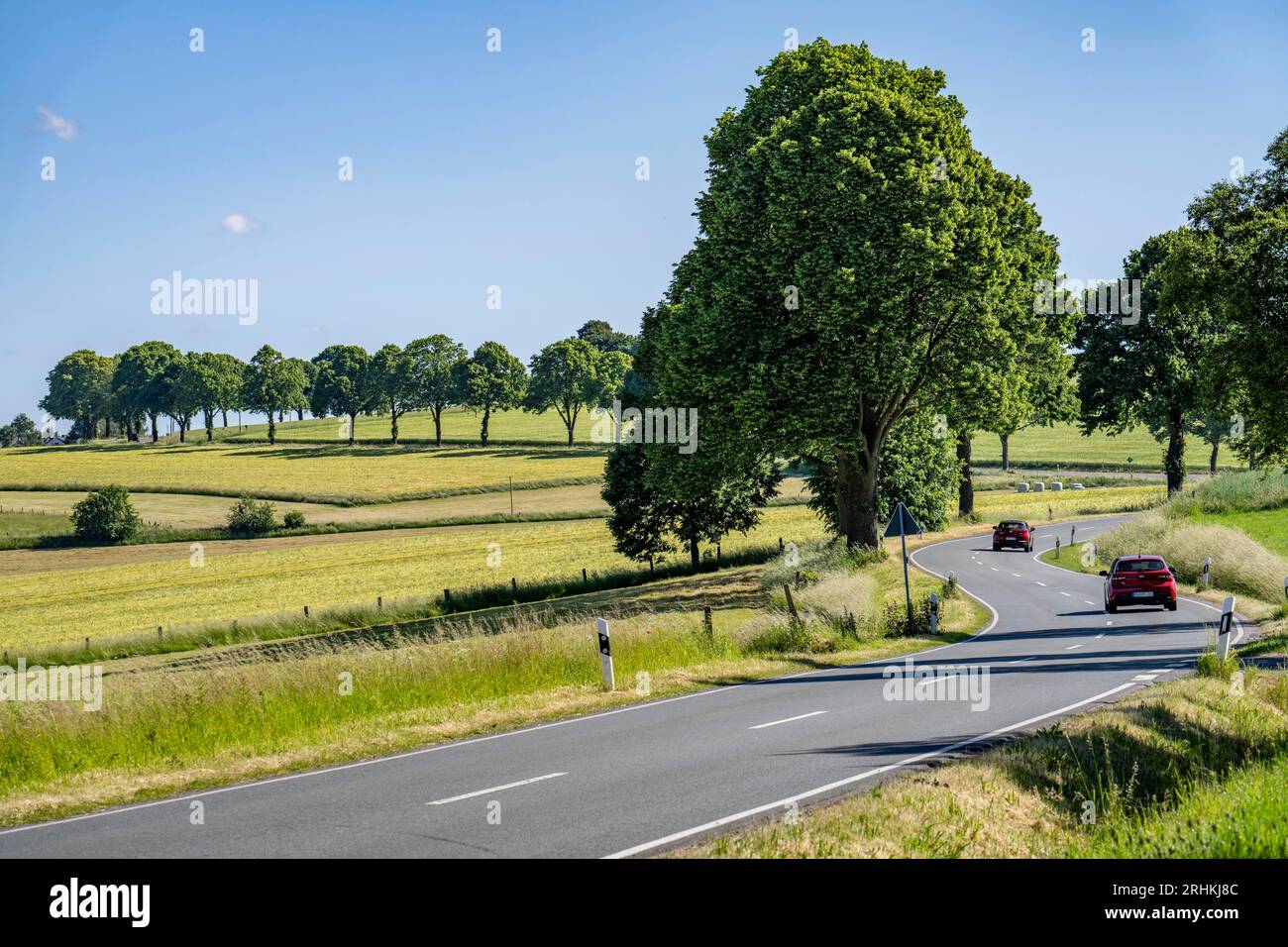 Warstein hirschberg hi-res stock photography and images - Alamy