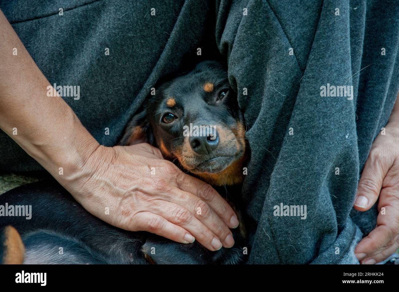 Human lap hi-res stock photography and images - Alamy