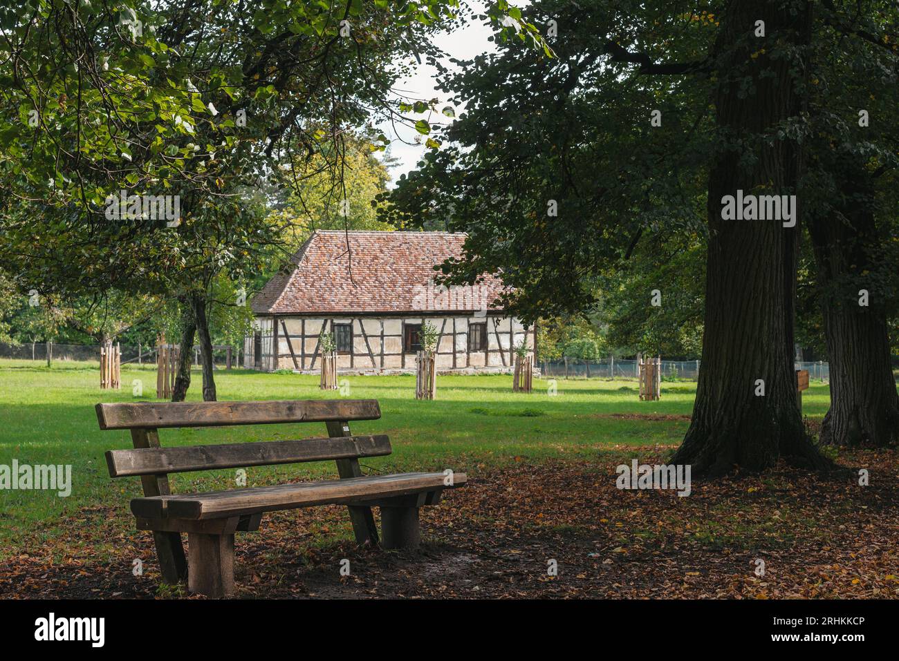 Calm Fall Season in German Park. Beautiful Landscape With Road In ...