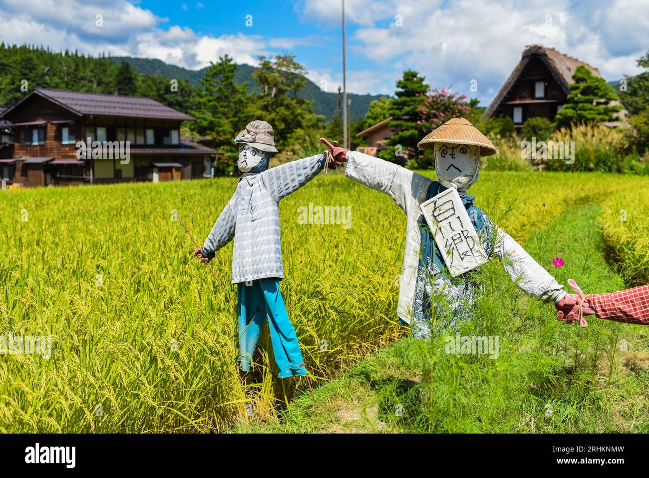 Scarecrows in front of traditional Gassho-Zukuri thatched wooden ...