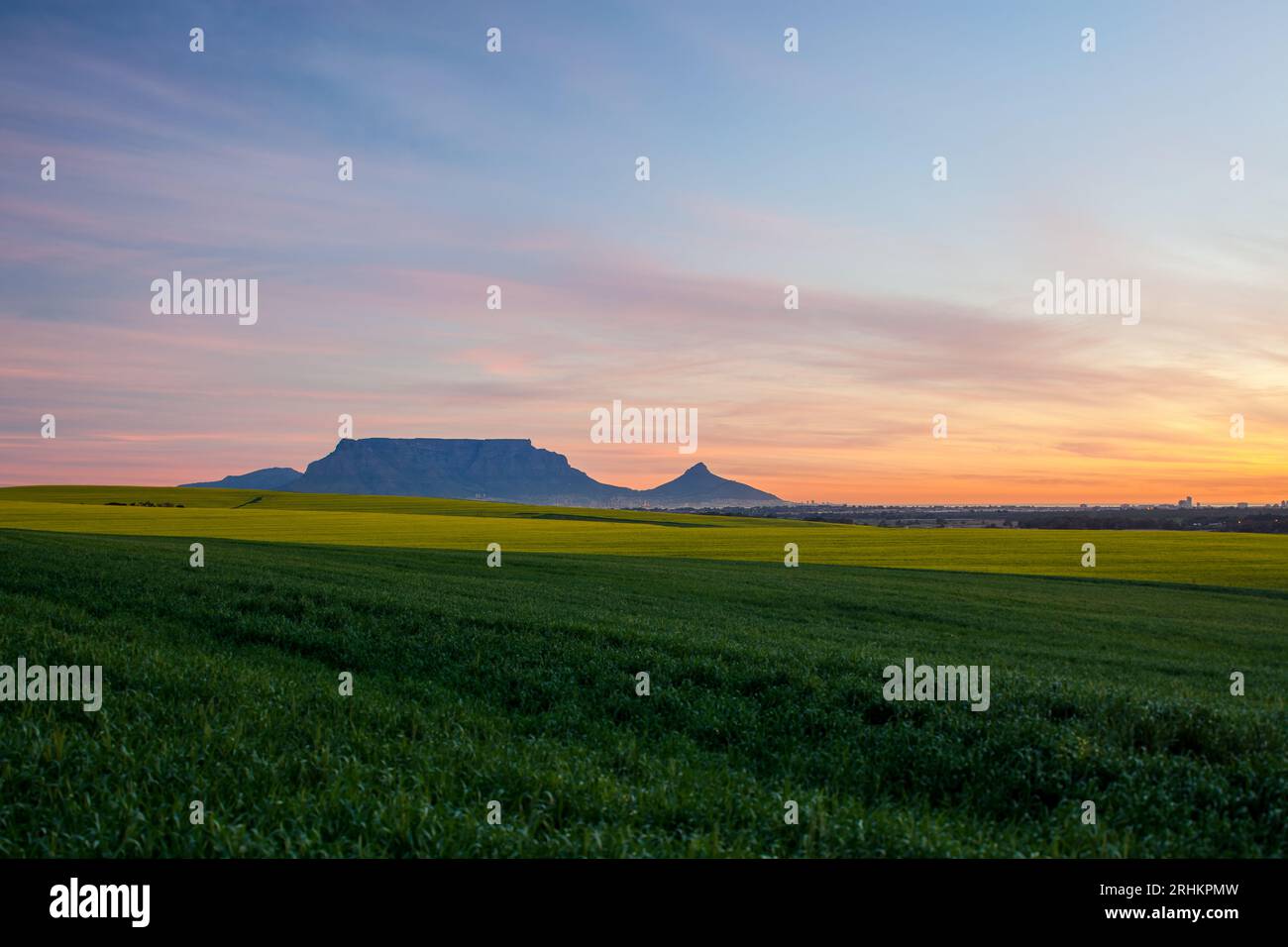 Table Mountain landscape photograph with canola and wheat crops in the ...
