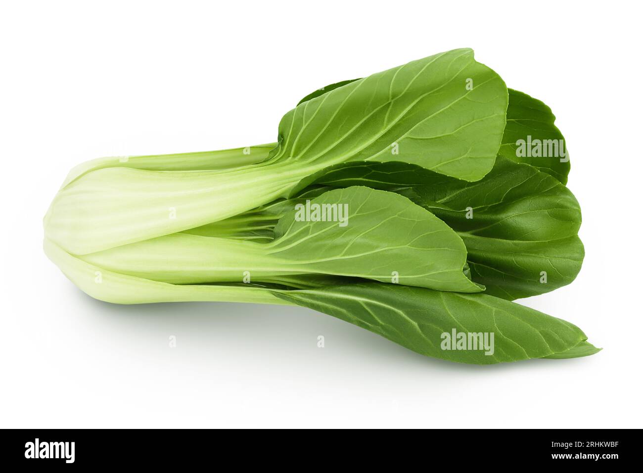 Fresh pak choi cabbage isolated on white background with full depth of ...