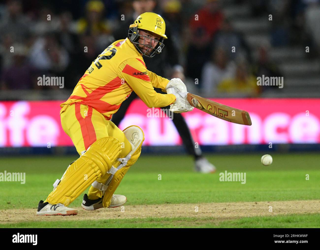 Colin munro trent rockets hi-res stock photography and images - Alamy