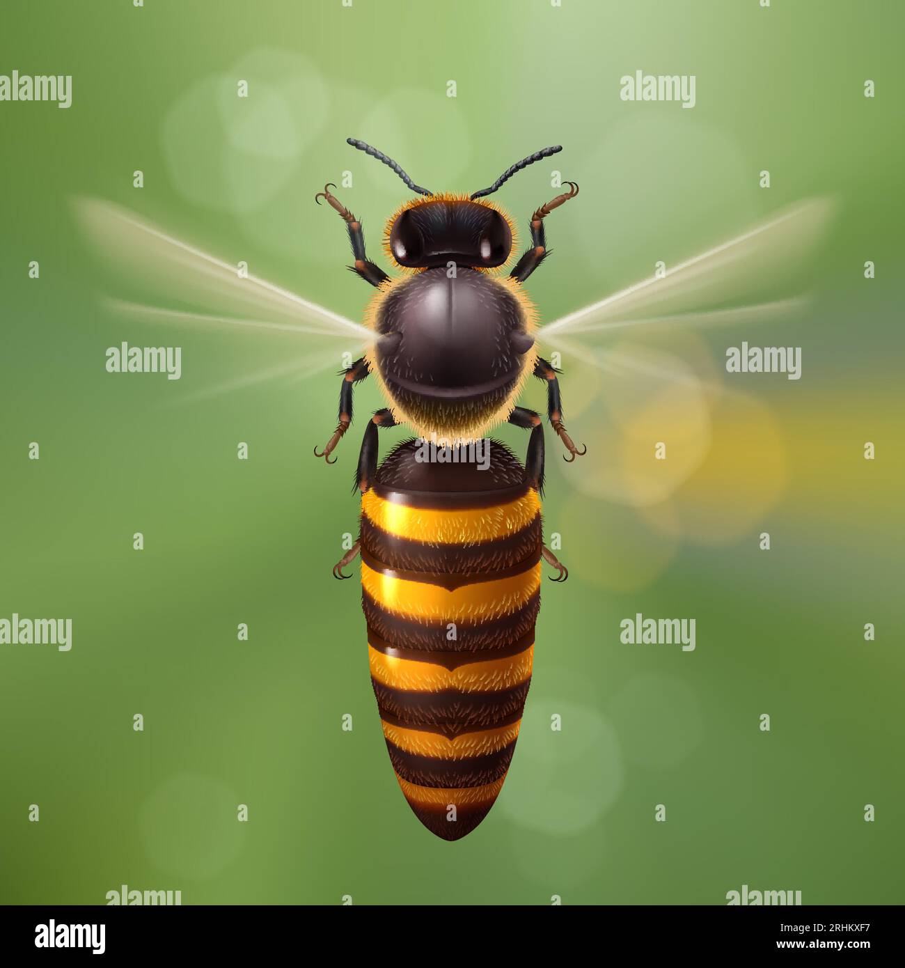 Food for larvae Stock Vector Images - Alamy