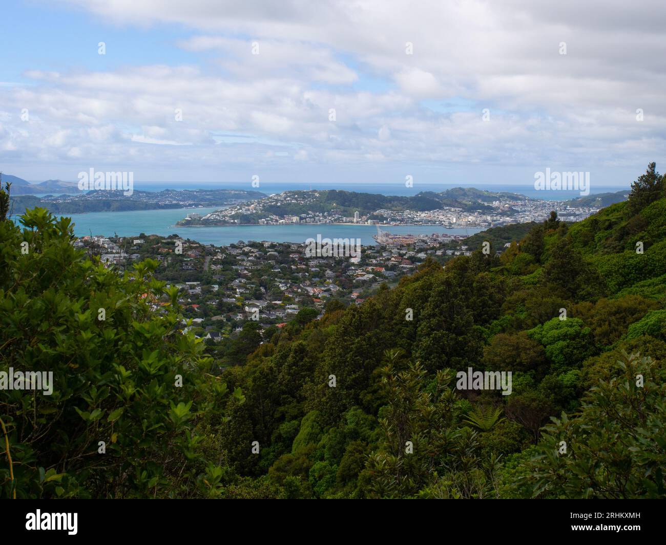 Wellington Harbour Landscape From Mount Kaukau Track Stock Photo - Alamy