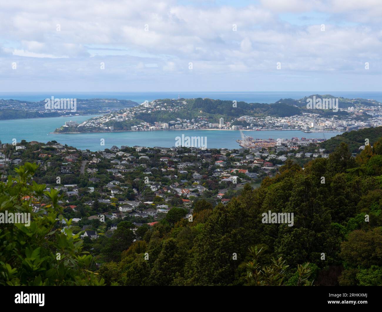Wellington Scenic Landscape From Mount Kaukau Track Stock Photo - Alamy