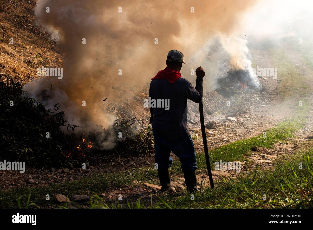 Forest fire controlled by Colombian farmer - fire and smoke Stock Photo ...