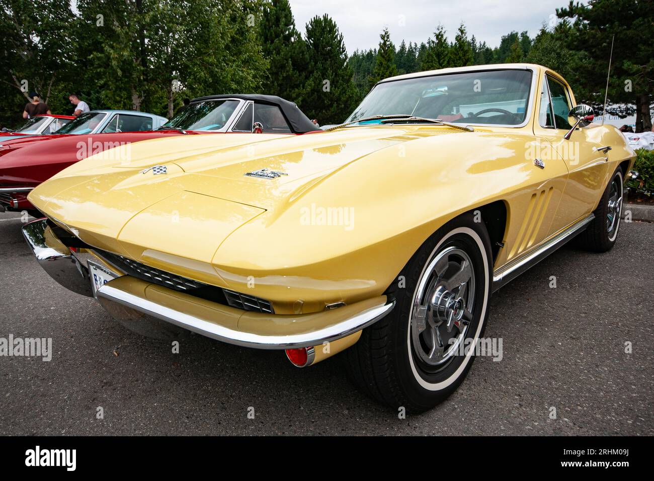 Colour photographs of a range of corvette stingray cars including close ...