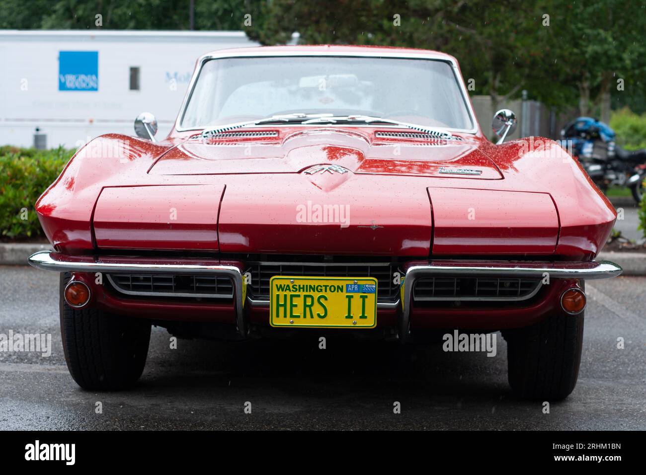 Colour photographs of a range of corvette stingray cars including close ...