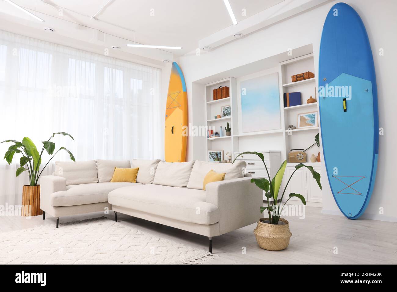 SUP boards, shelving unit with different decor elements and stylish ...