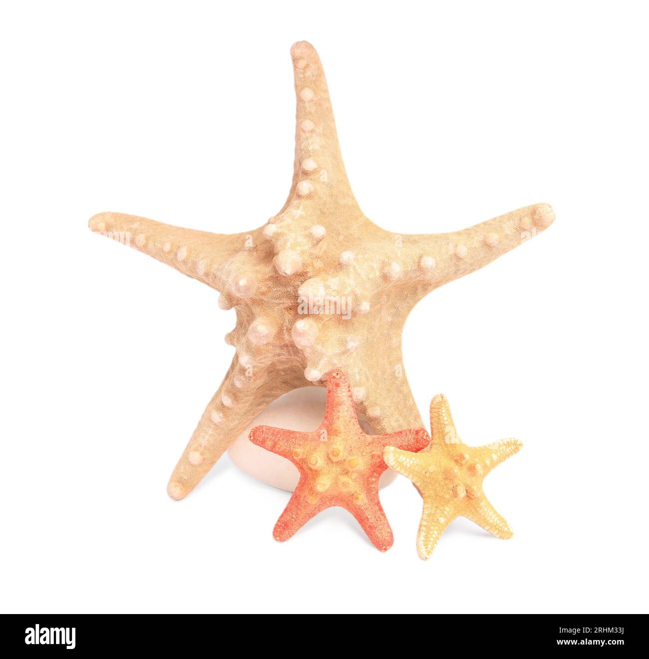 Beautiful sea stars (starfish) isolated on white Stock Photo - Alamy