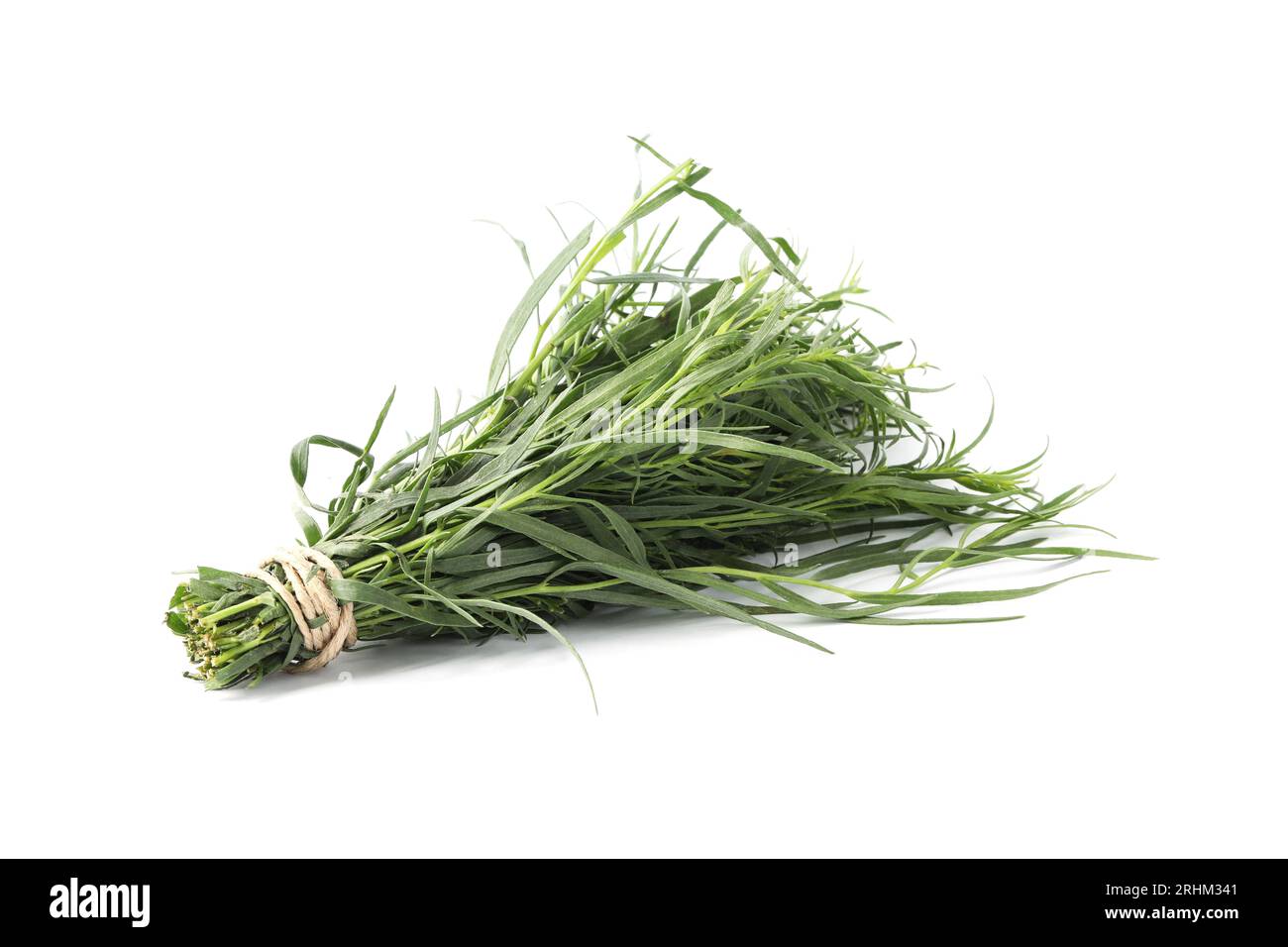 Bunch of fresh tarragon on white background Stock Photo - Alamy