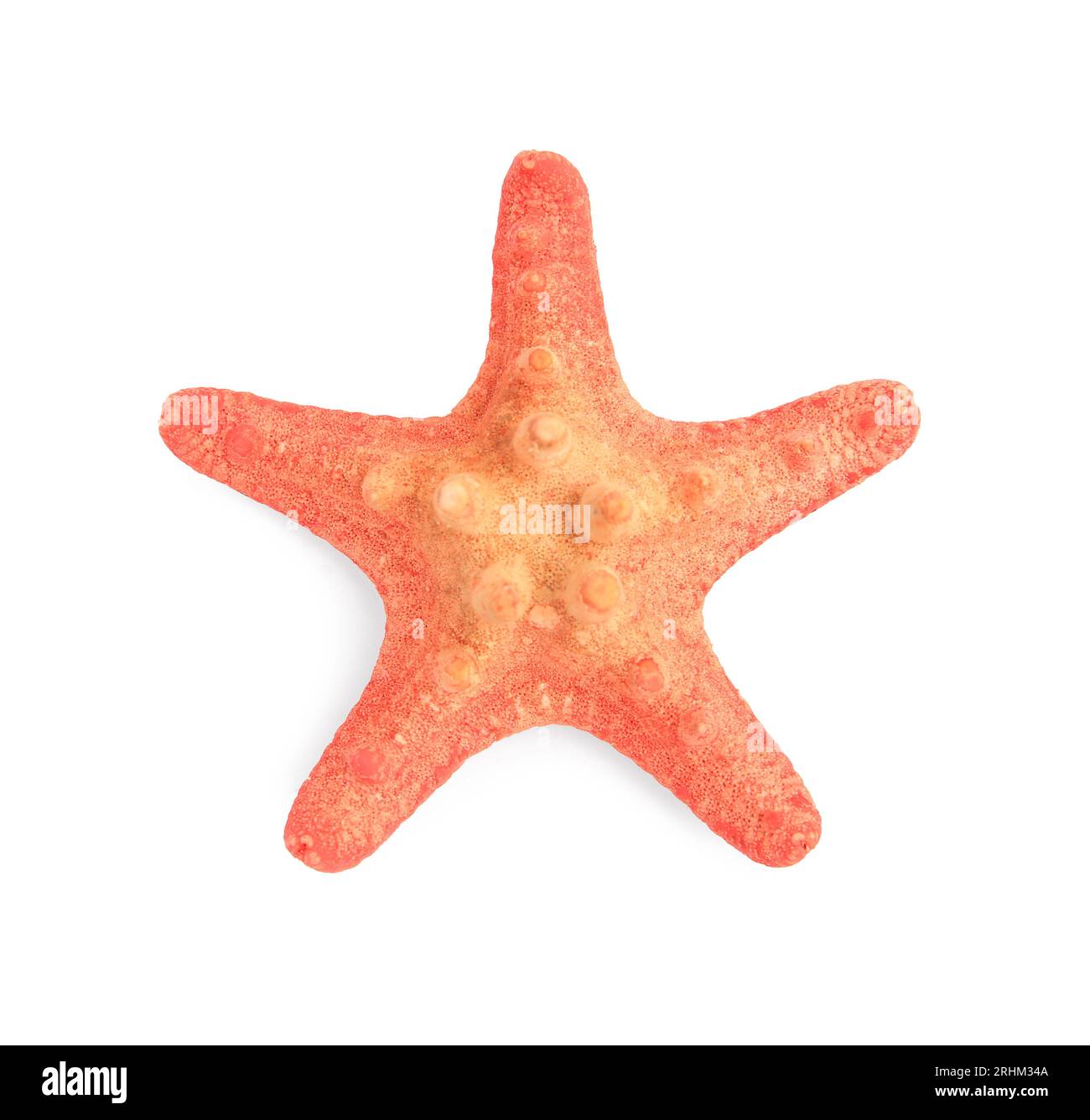 Beautiful sea star (starfish) isolated on white Stock Photo - Alamy