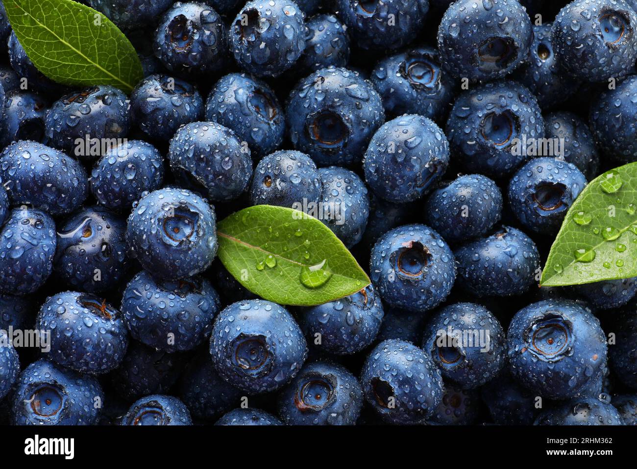 Wet fresh blueberries with green leaves as background, top view Stock ...