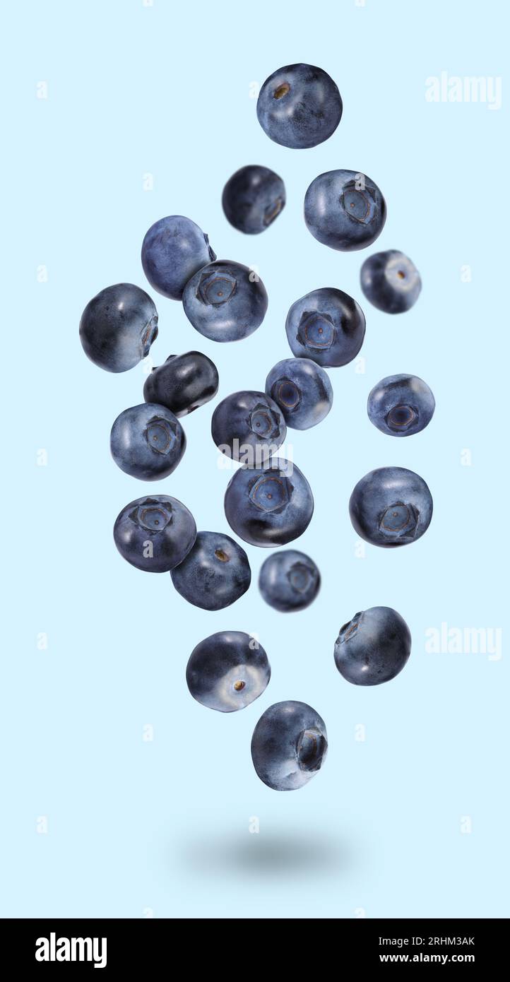 Many ripe blueberries falling on light blue background Stock Photo - Alamy