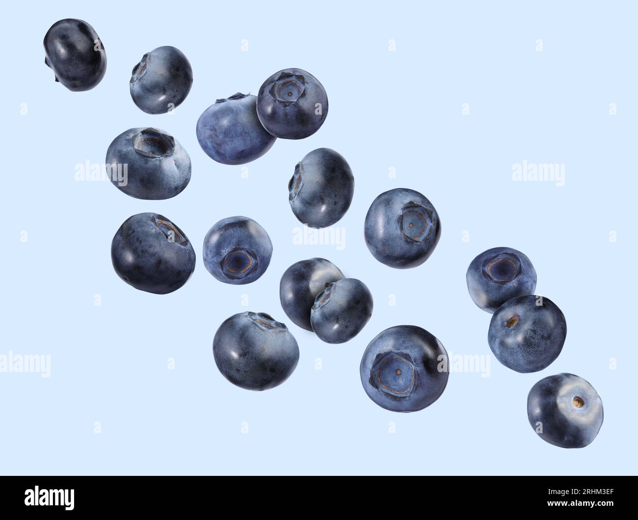 Many ripe blueberries falling on light blue background Stock Photo - Alamy