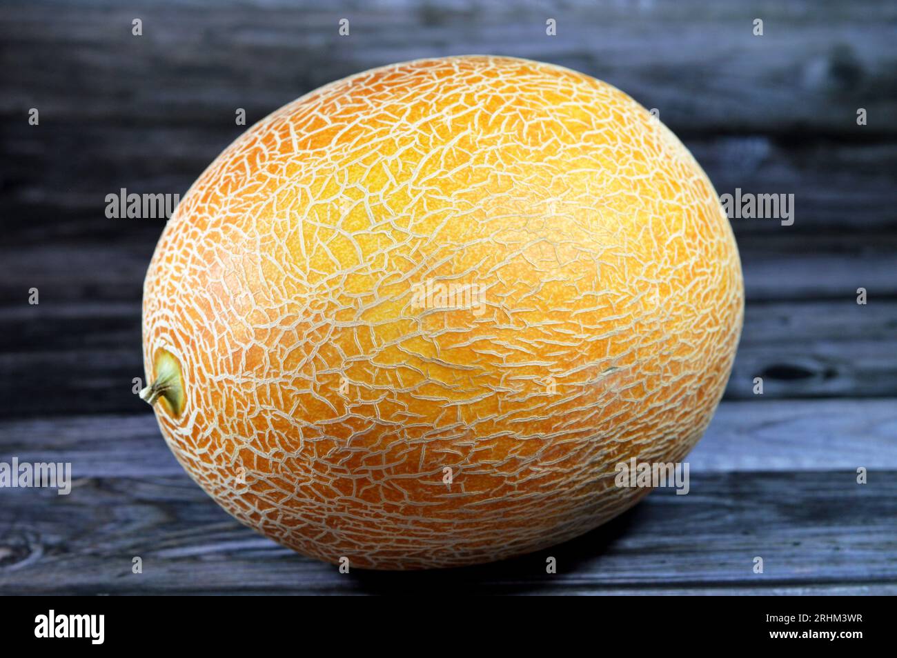 Muskmelon, Cucumis melo or melon, a species of Cucumis that has been developed into many ...