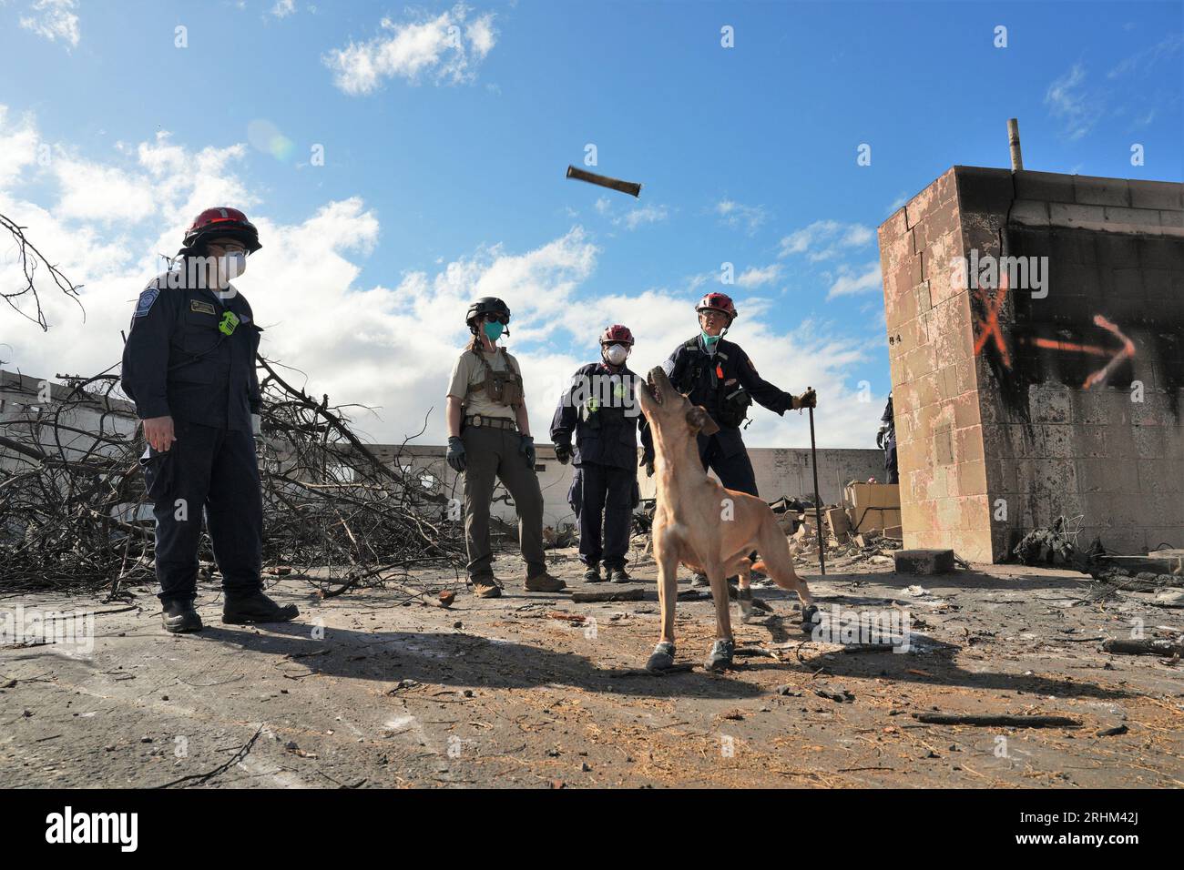Lahaina, United States. 16th Aug, 2023. FEMA Urban Search and Rescue ...