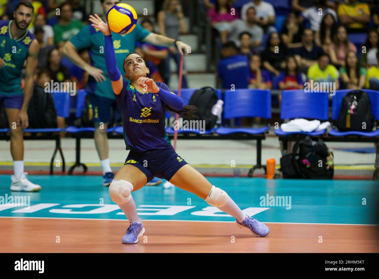 Recife, PE, 08/17/2023 - WOMEN'S VOLLEYBALL TEAM TRAINING - Player of ...