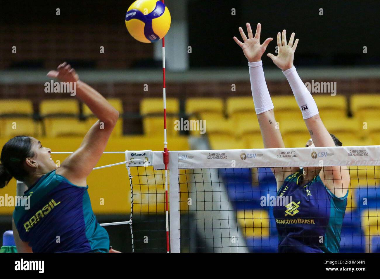 Recife, PE, 08/17/2023 - TRAINING OF THE WOMEN'S VOLLEYBALL TEAM ...