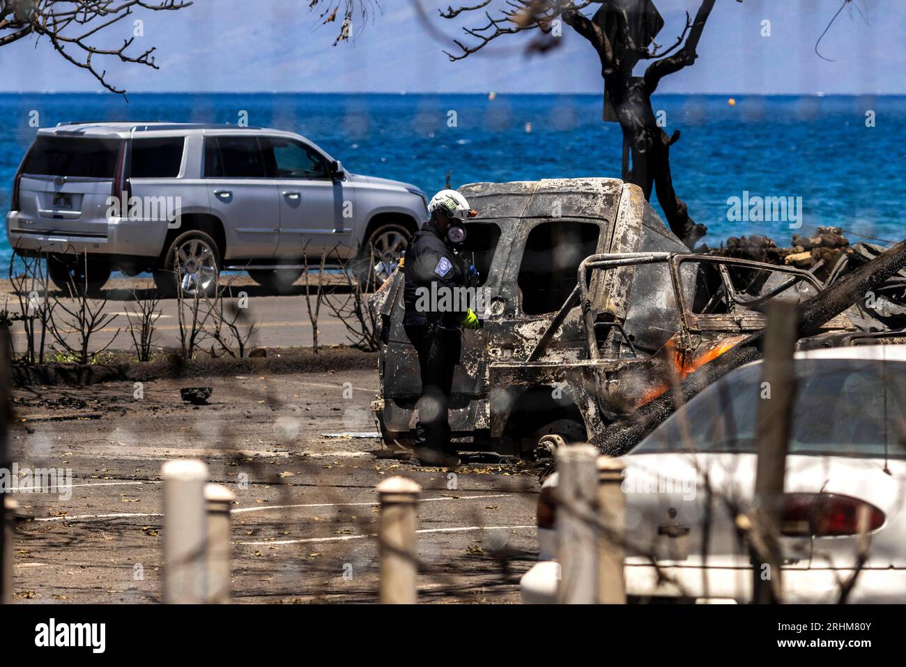 A member of the Urban Search and Rescue Florida Task Force 1 (FL-TF1 ...