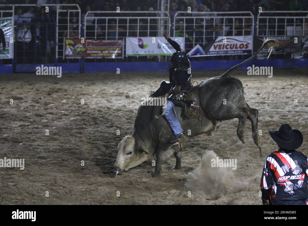Rodeio brazil hi-res stock photography and images - Alamy