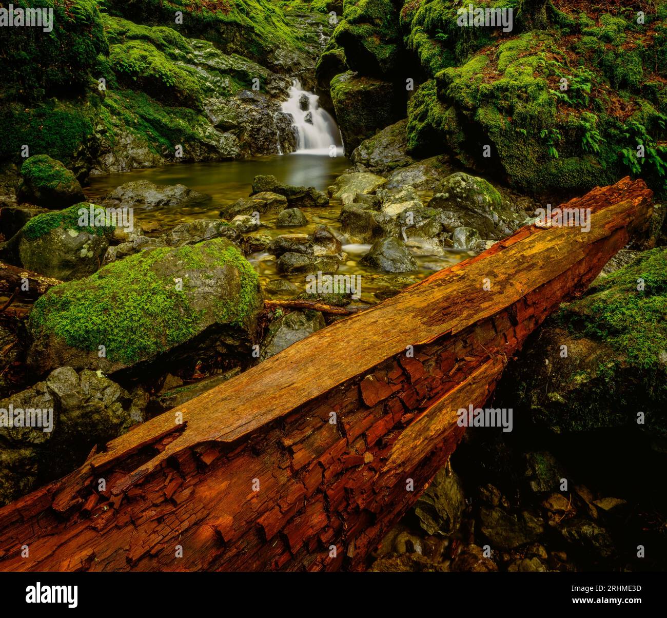 Redwood falls location hi-res stock photography and images - Alamy