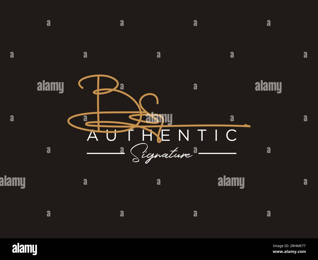 BS Signature Logo Template Vector Stock Vector Image & Art - Alamy
