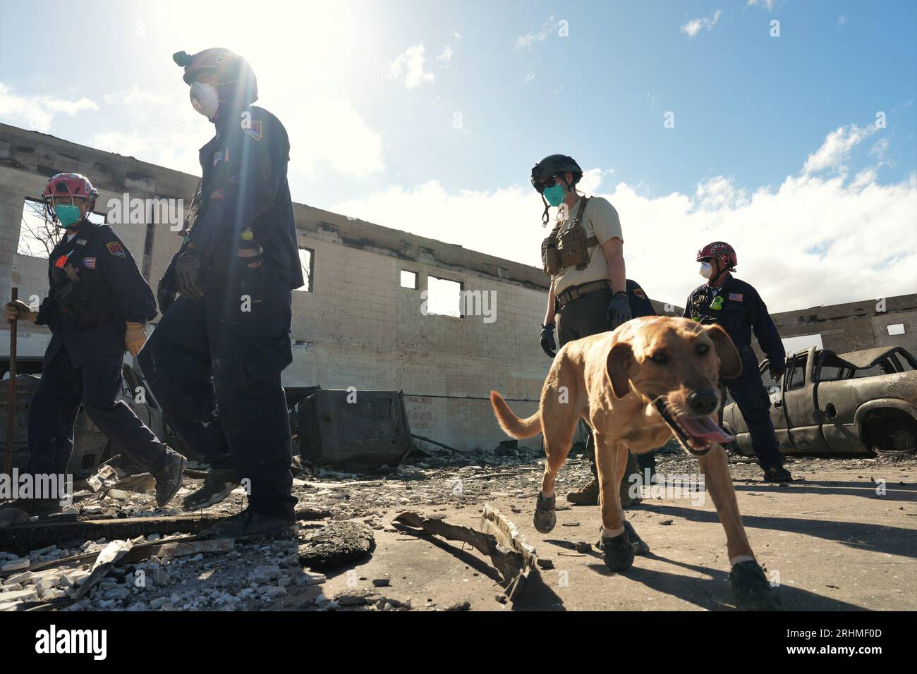 Lahaina, Hawaii (Aug. 16, 2023) - FEMA Urban Search and Rescue teams ...