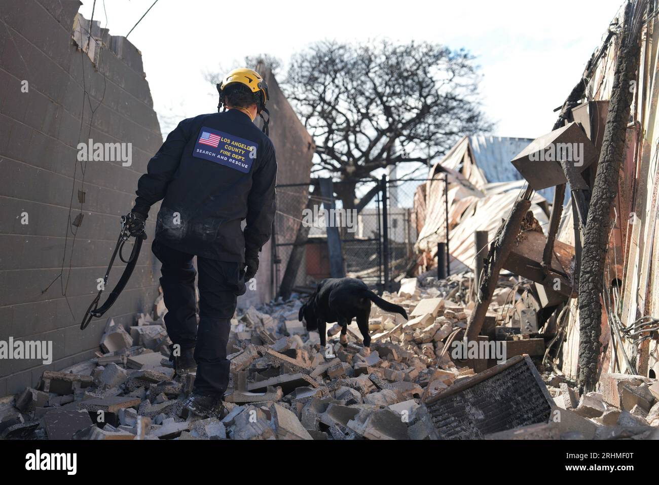 Lahaina, Hawaii (Aug. 16, 2023) - FEMA Urban Search and Rescue teams ...